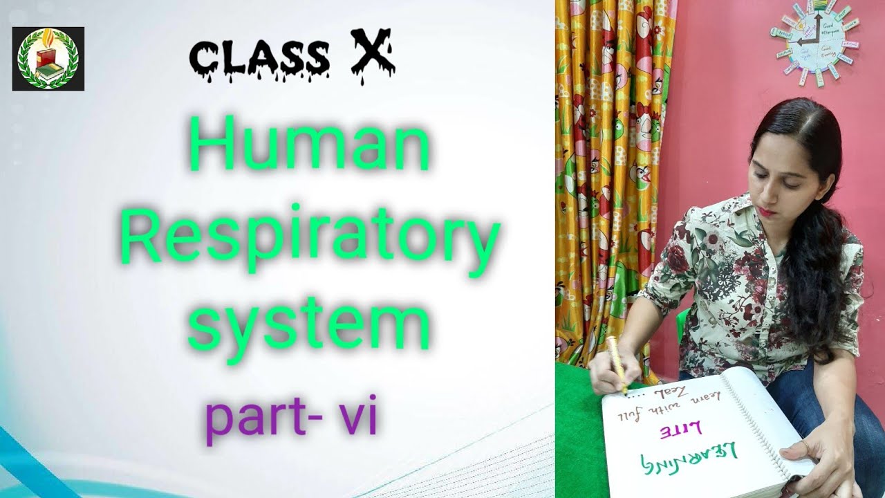Human Respiratory system class 10th (part-6) - YouTube