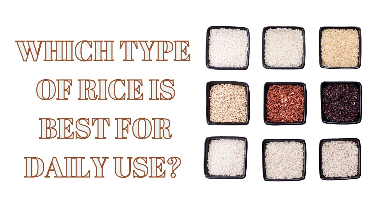 Which Type Of Rice Is Best For Daily Use YouTube which-type-of-rice-is-best-for-daily-use-youtube