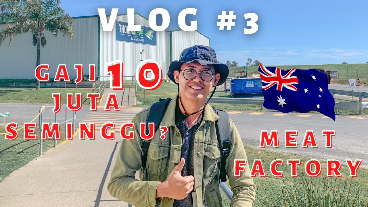 Gaji 10 juta per minggu WHV Australia di Meat Factory ? - VLOG #3 - YouTube