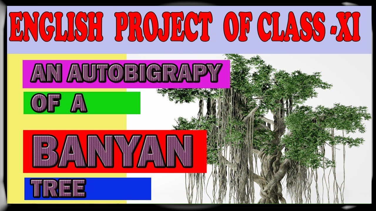 Autobiography of a Banyan Tree. English Project Class-XI. Must watch ...