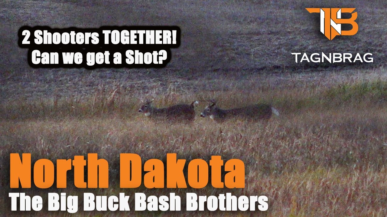 Big Buck Bash Brothers - YouTube