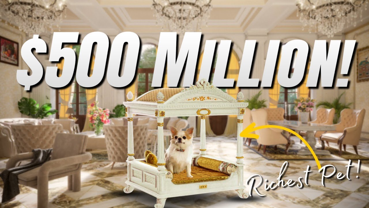 10 Richest Animals In The World 2023!! - YouTube