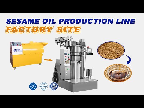 Sesame Oil Production Line Factory Site|Sesame Seeds Oil Processing ...