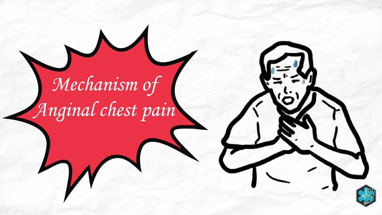 Mechanism of Anginal pain | CVS module - YouTube