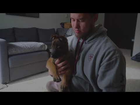 Myla Basic Obedience Training #4 (8 Weeks Old)