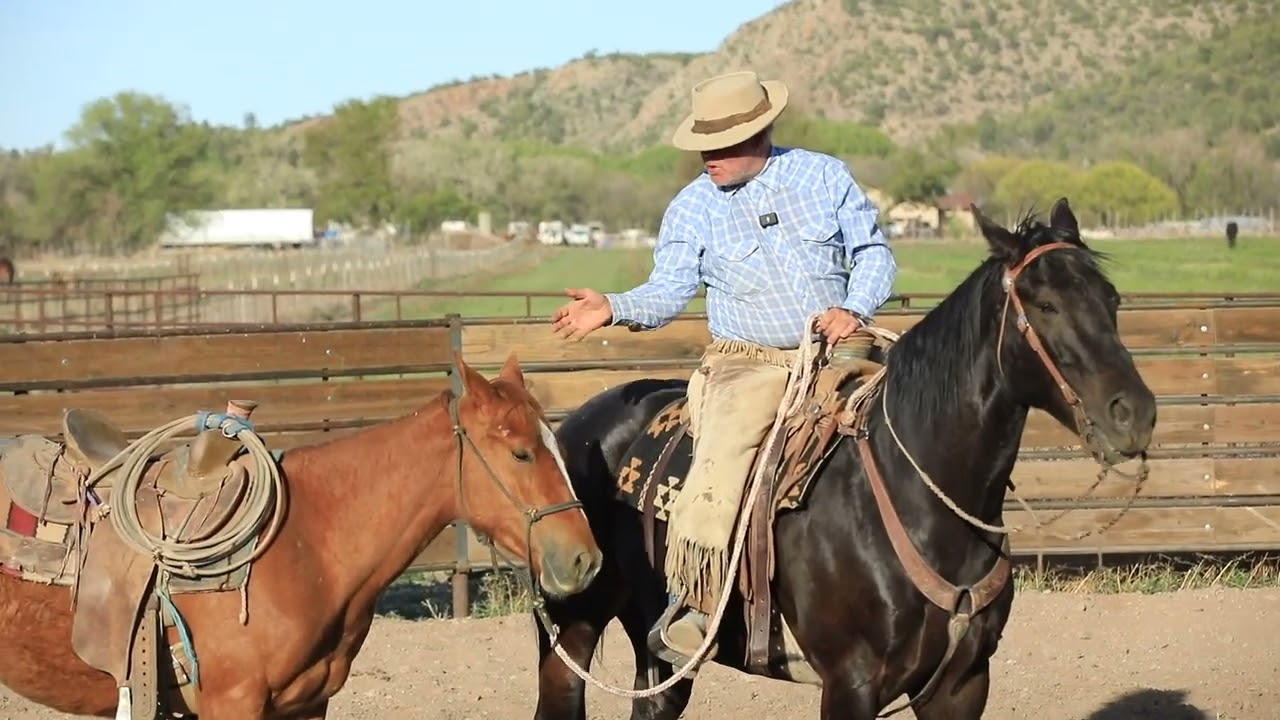 Starting colts with Cody Deering - YouTube