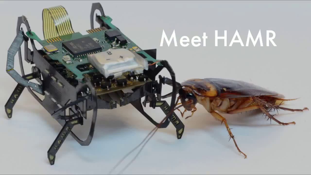 The Harvard Ambulatory MicroRobot (Promo Vid 1) - YouTube