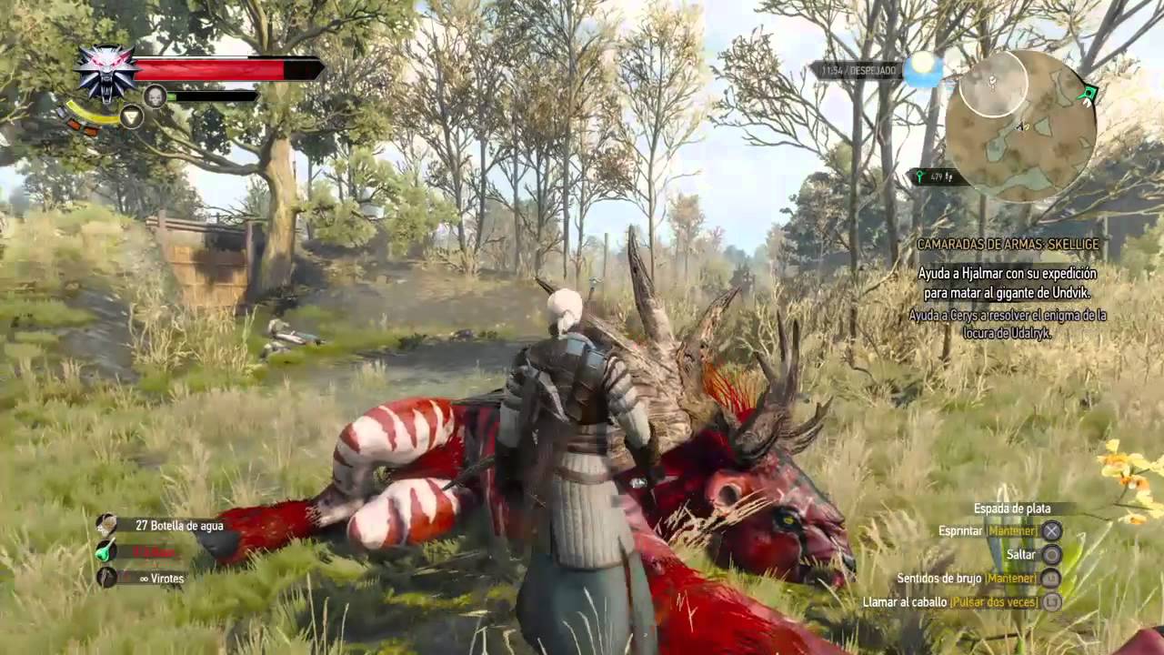 The Witcher 3 flying monster bug - YouTube