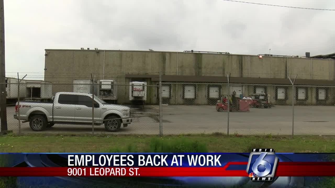 STX beef, formerly Kane Beef, resumes operations today - YouTube