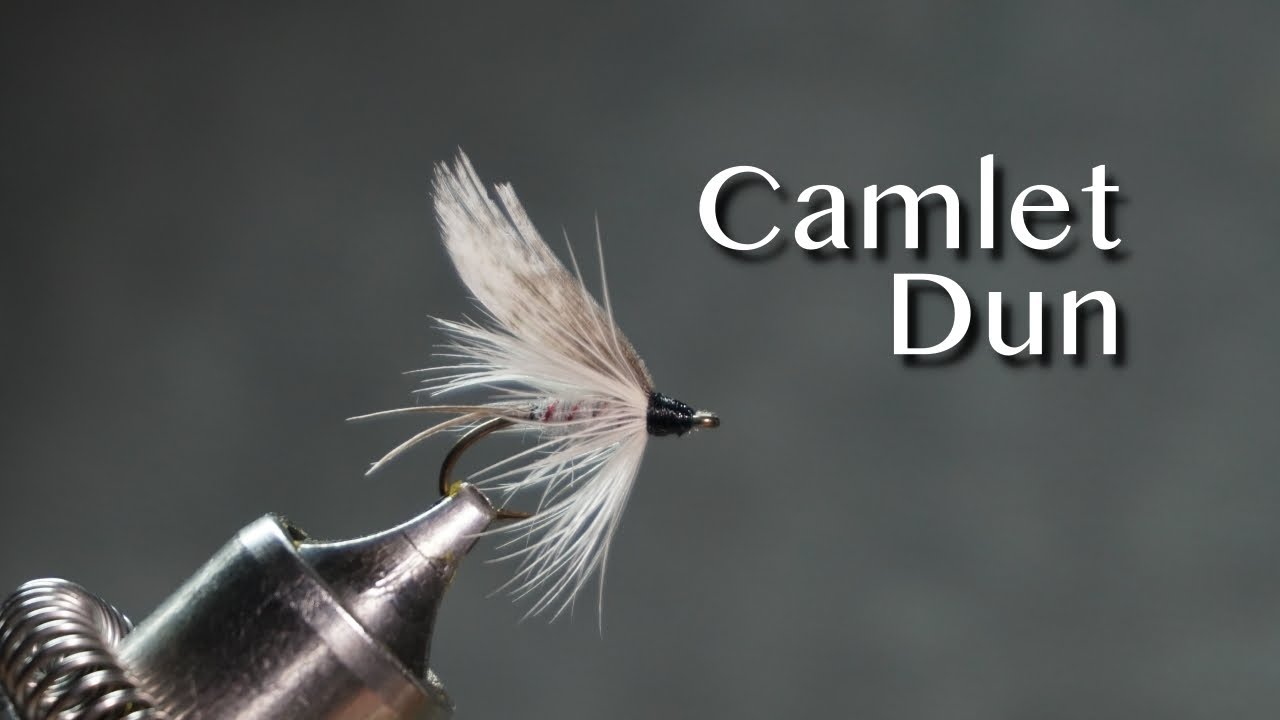 Camlet Dun: a trout fly pattern from Favorite Flies and Their Histories ...