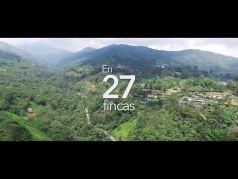 VIDEO BIRDFAIR EMCALI
