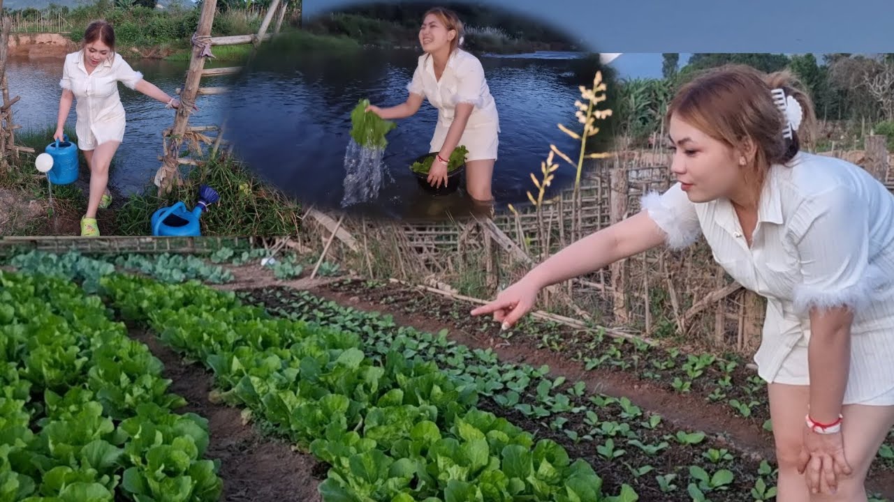 coj mai mu saib zeb wb lub vaj mai qhuas txog zaub phamlavej Tia zoo hv ...