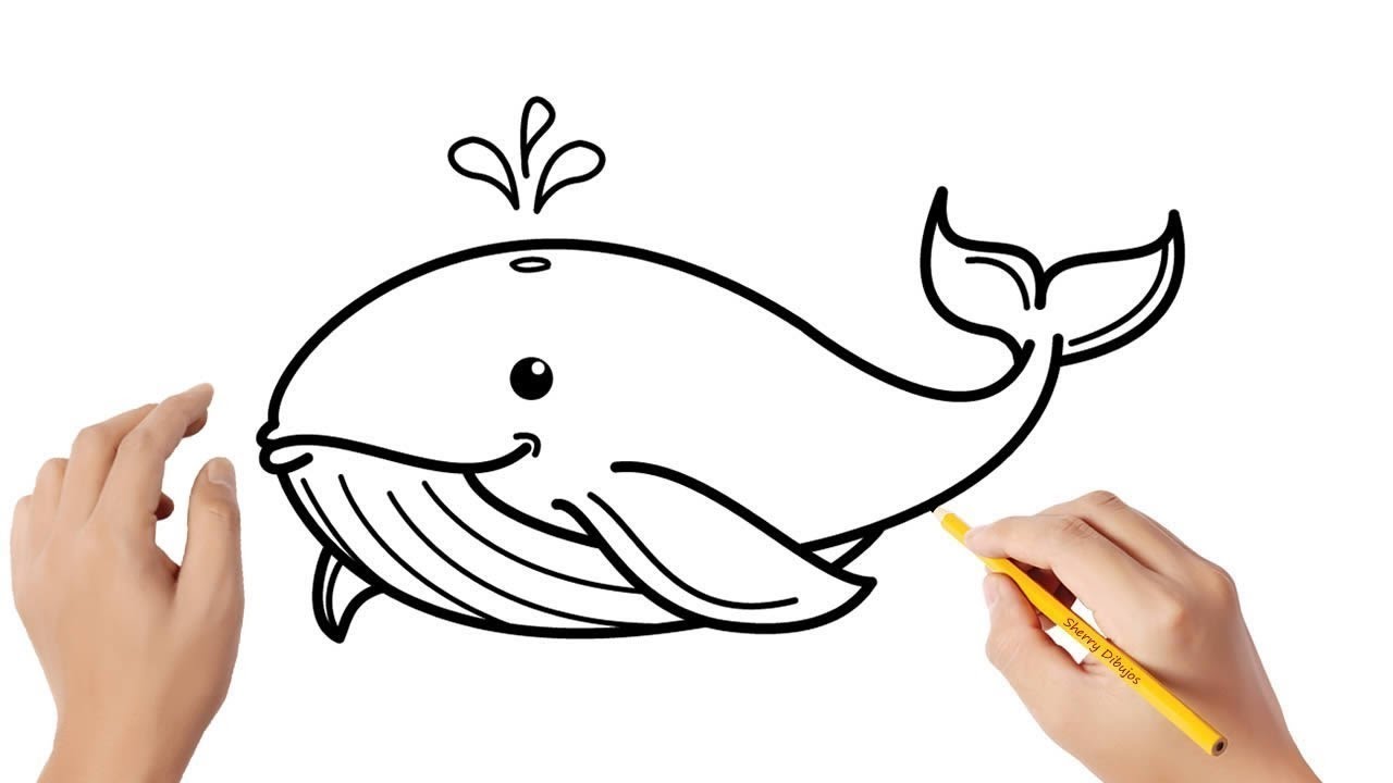 how to draw whale 🐳 | easy drawing | SHAHIN ART - YouTube