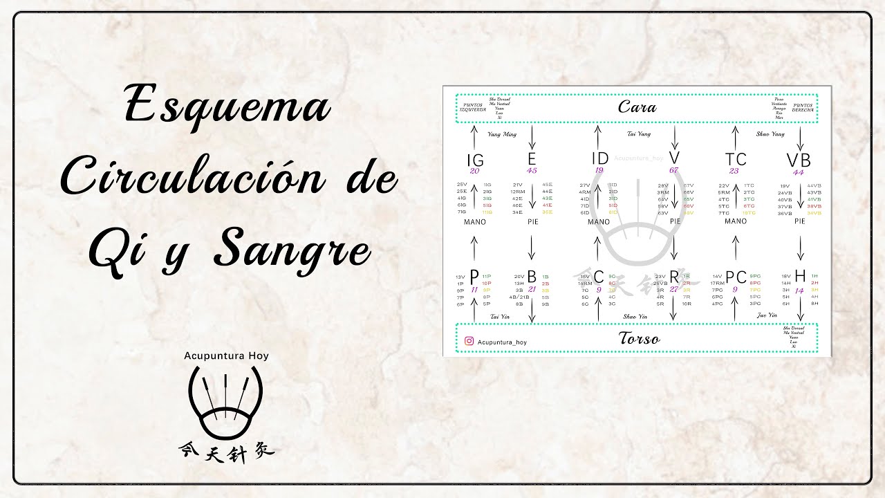 Esquema de circulación de Qi y Xue (Acupuntura) - YouTube