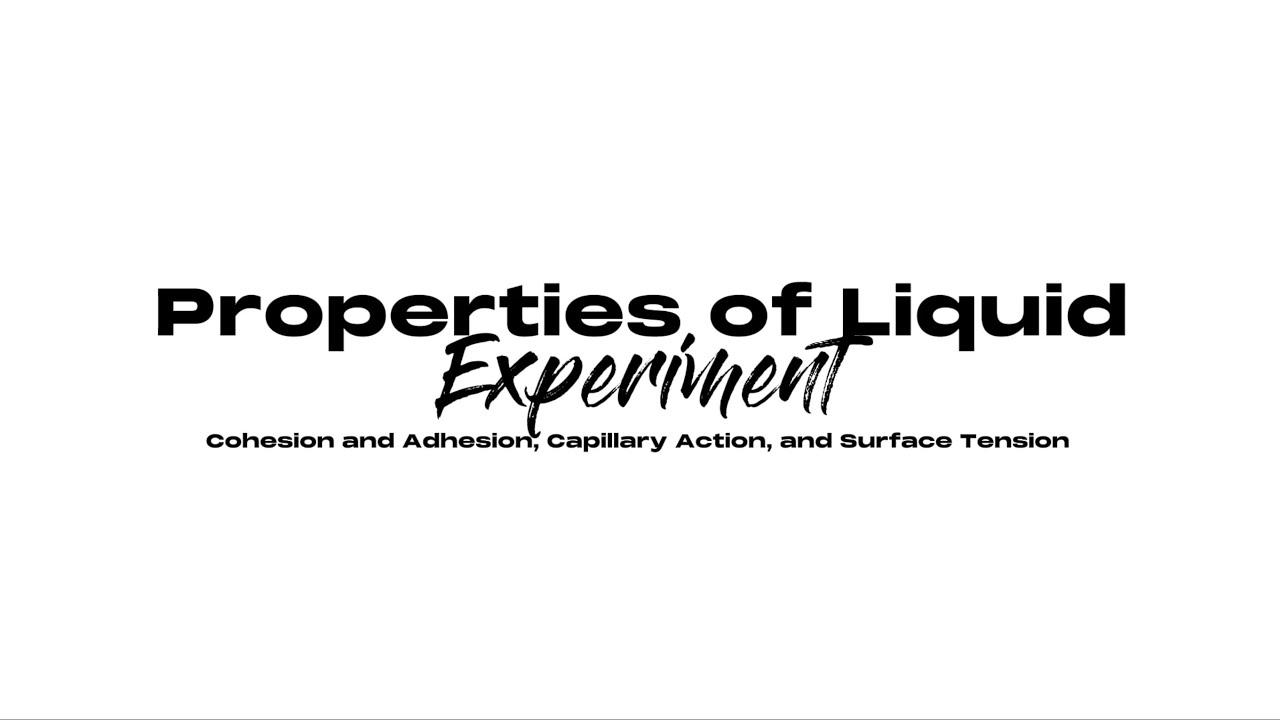 Properties of Liquid Experiment🥼🧪| Capillary Action, Adhesion and ...
