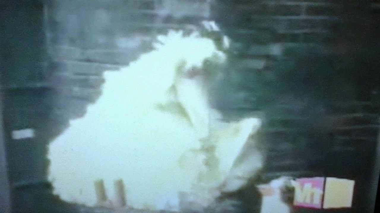 Classic Sesame Street: Episode 132 [Scene 15] (Very Short Clip Only ...