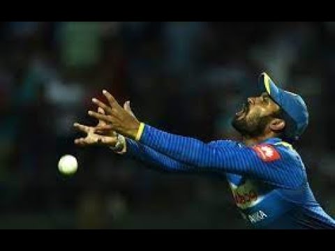 Worst Dropped Catches in Cricket | Most Shocking Drop Catches - YouTube