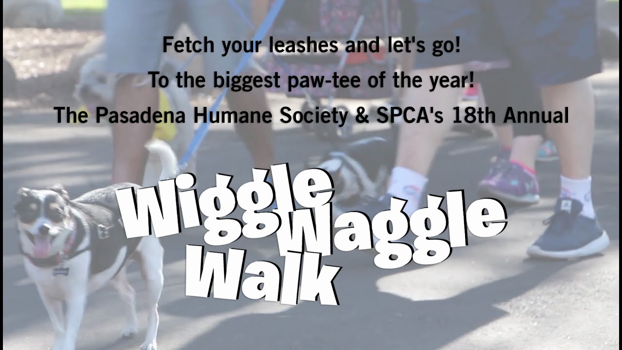 Get ready for the 18th Annual Wiggle Waggle Walk! - YouTube