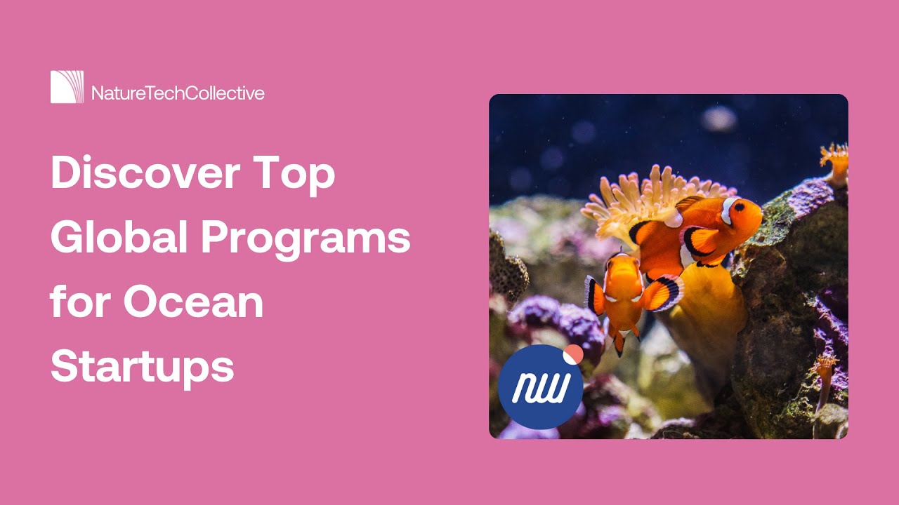 Global Ocean Startup Programs You Should Know | Blue Economy & Ocean ...