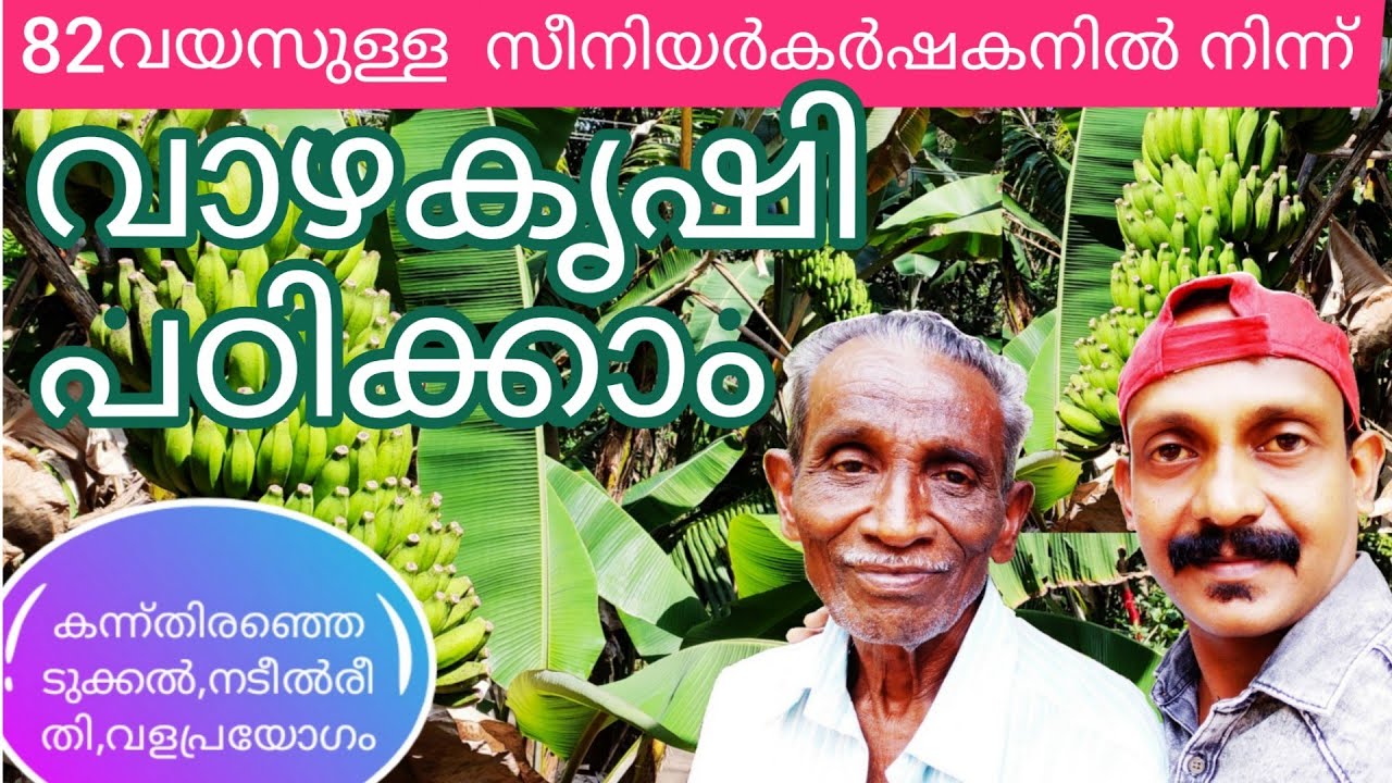 വാഴകൃഷി പഠിക്കാം | Banana Farming Tips | Banana farming in Kerala ...