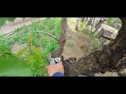 Bu Görüntü İçin 3 Yıl Bekledim
