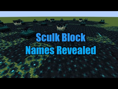 Deep Dark Biome Blocks Revealed - YouTube