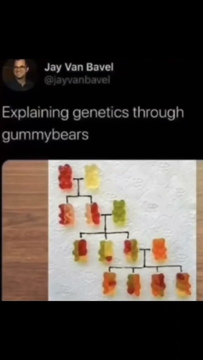 Explaining genetics through gummy bears #shorts - YouTube