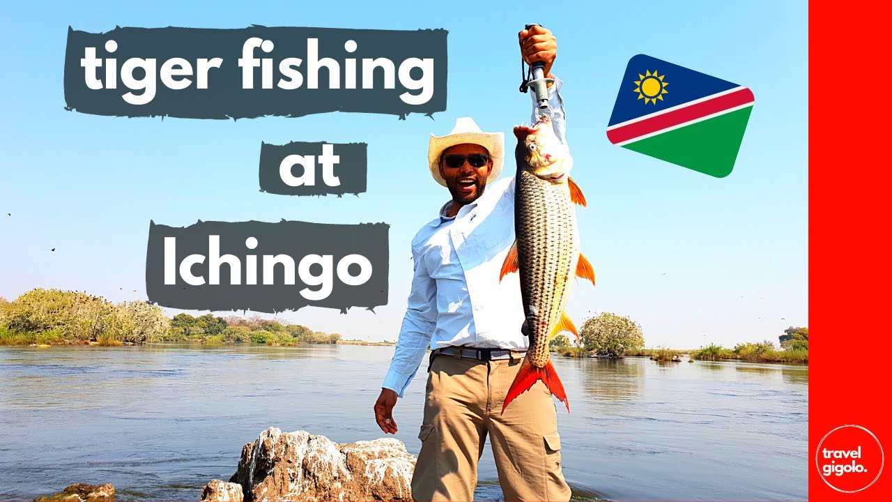 Travel Review of Tiger Fishing on the Upper Zambezi - Travel Vlog ...