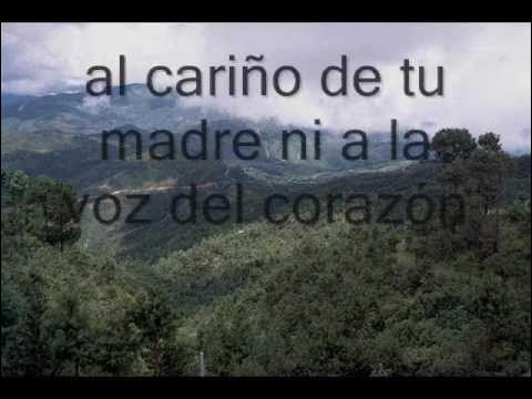 cancion de los andes- paulina tamayo - YouTube