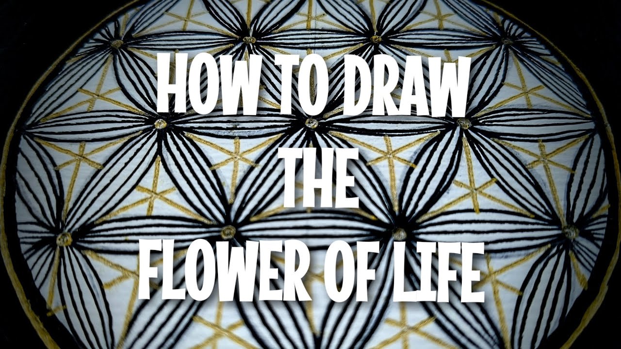 How to draw the flower of Life - YouTube