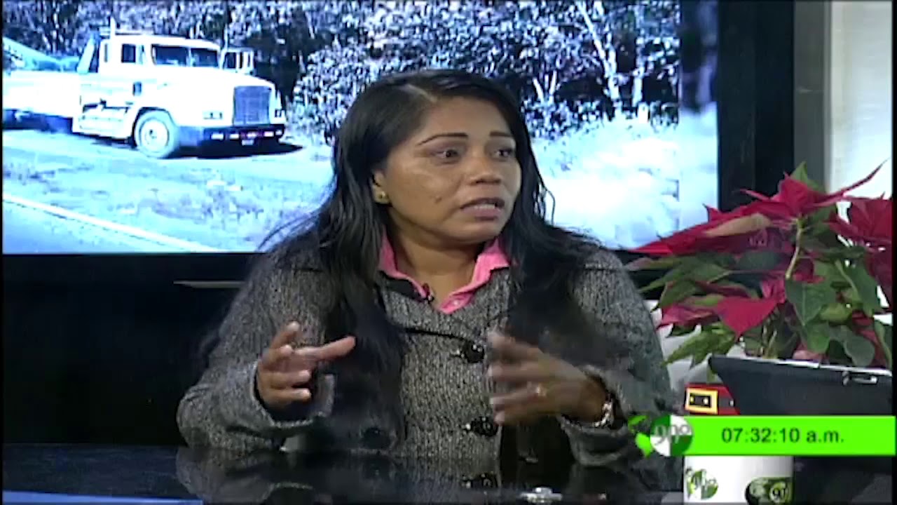Entrevista con Lydia Flores Alejo Familiar de Víctima del Accidente en ...