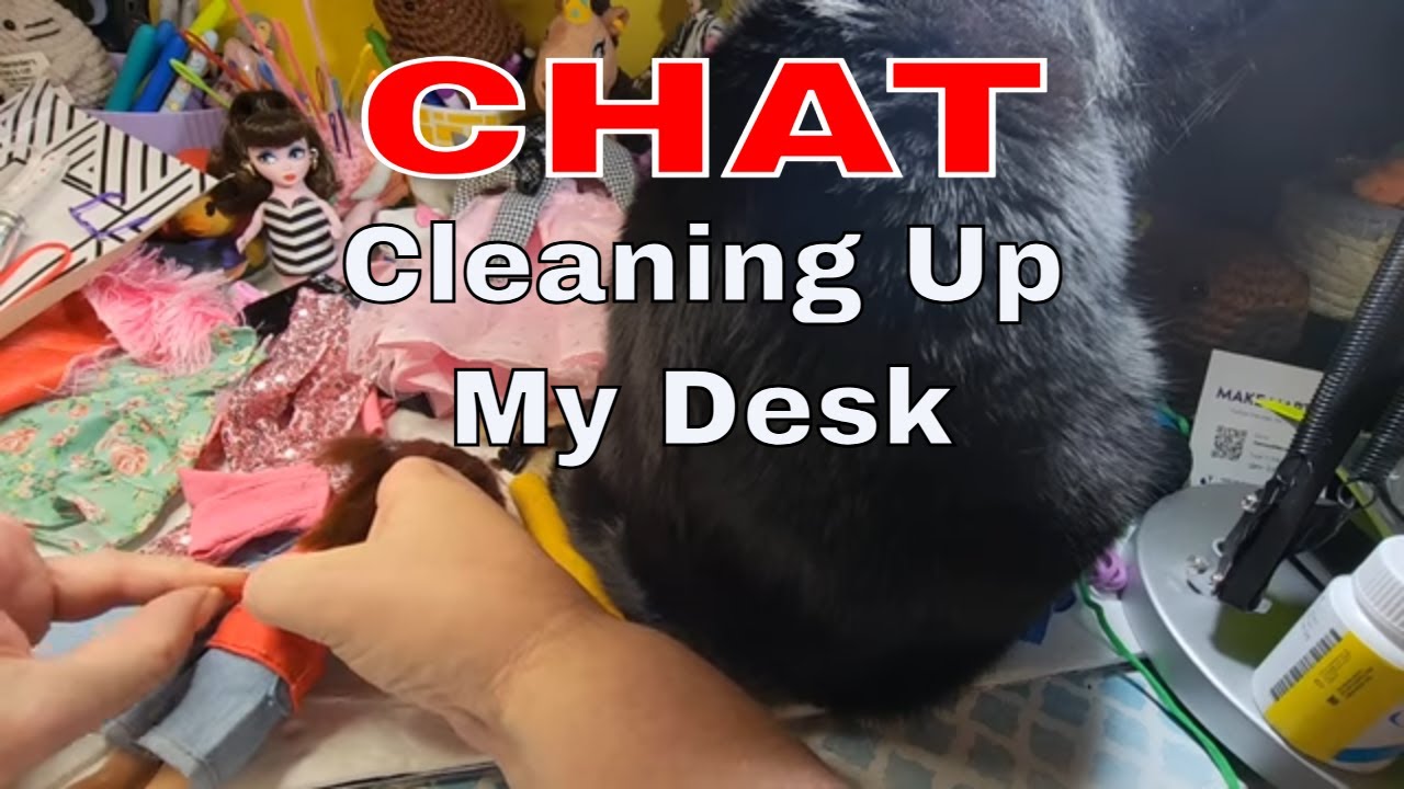 Chat * Cleaning Up My Desk * Graveyard/Cemetery? * Hobbies * Susie Sad ...