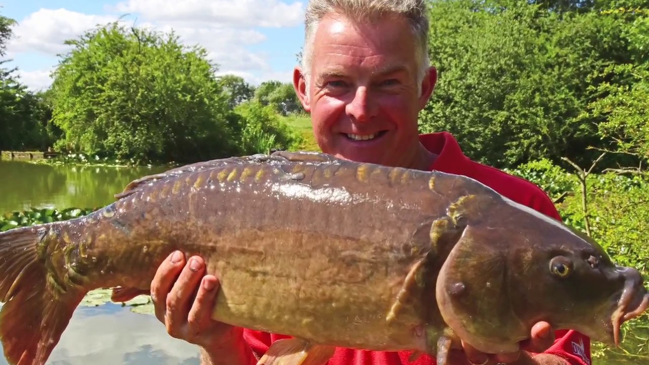 Mark Cree targets 'creatures from features' - YouTube