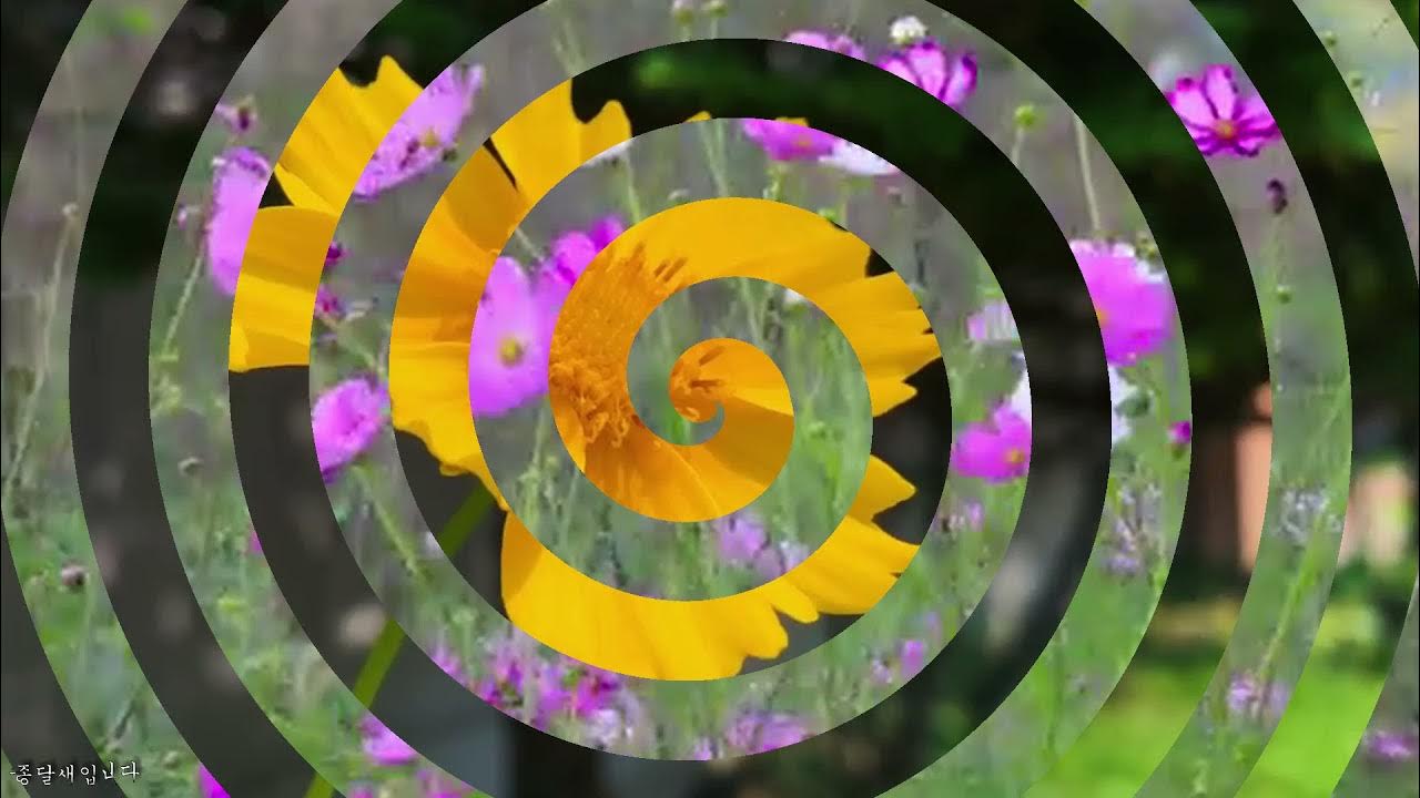 나는 기적이다 Youtube