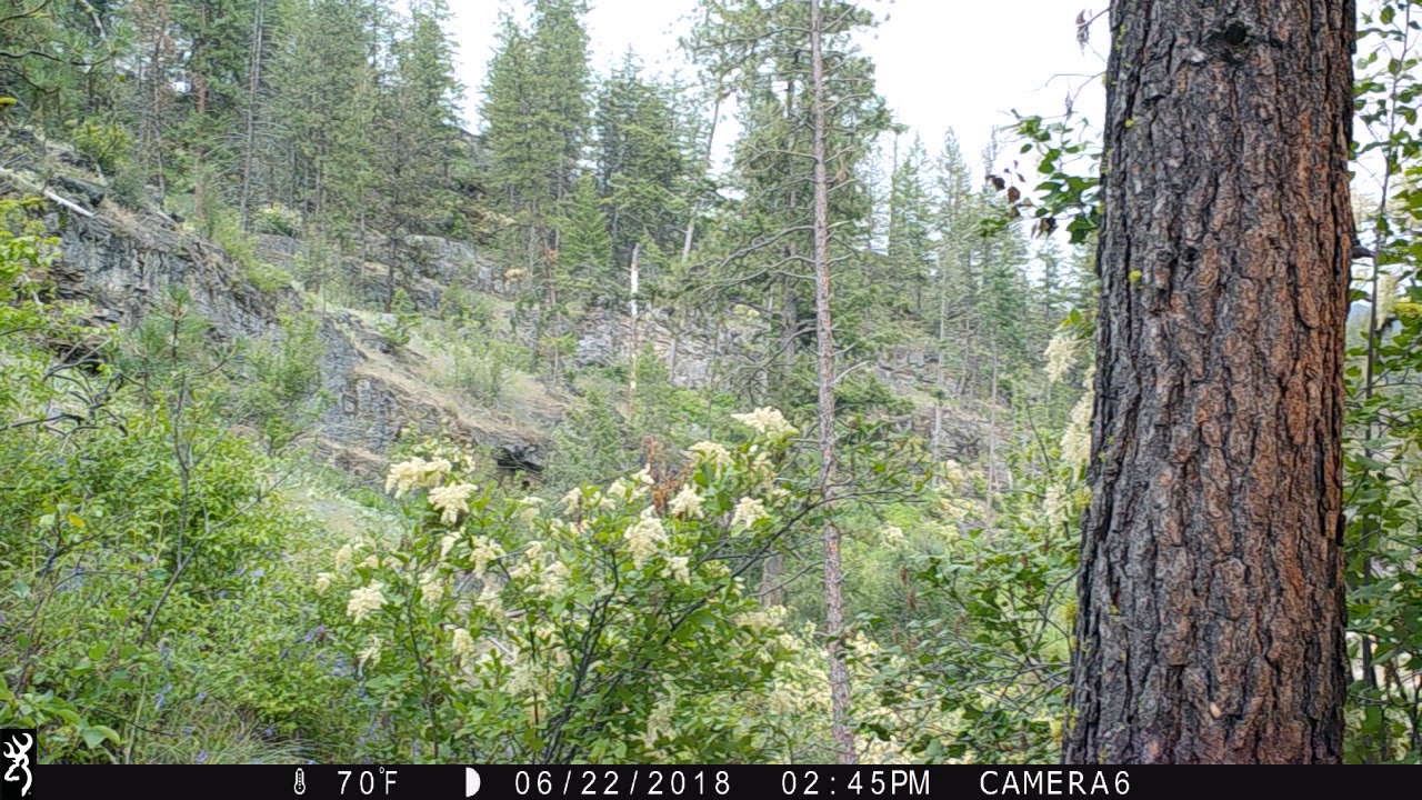 2018 Video Contest - Tom Backes, Washington - YouTube