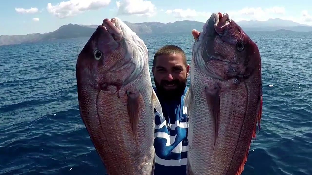 Τα Τσαουσια του Ιούλη είναι τρόπαια 🎣🇬🇷 - YouTube