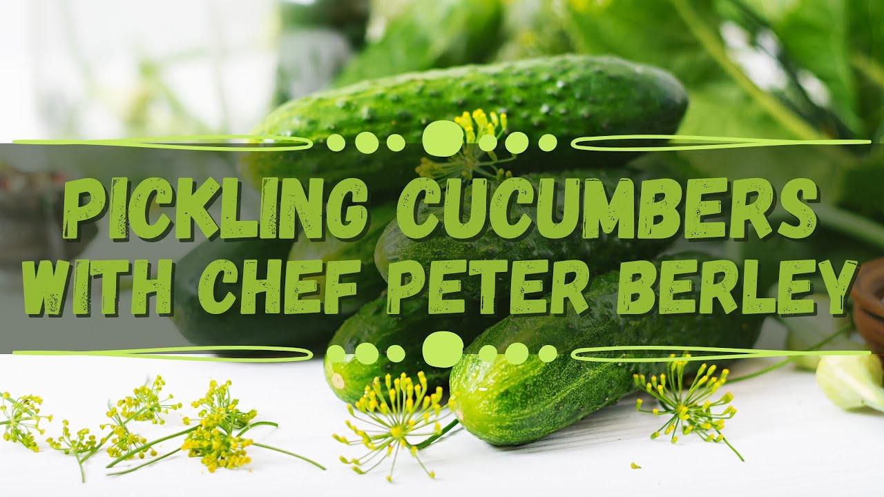Pickling Cucumbers with Chef Peter Berley - YouTube