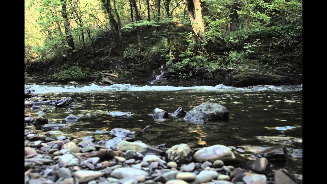 River Time Lapse Test - YouTube