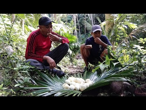 Mukbang ug Botbot sa Lubi - YouTube