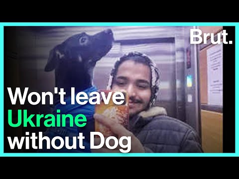 Won't leave Ukraine without dog, says Indian student