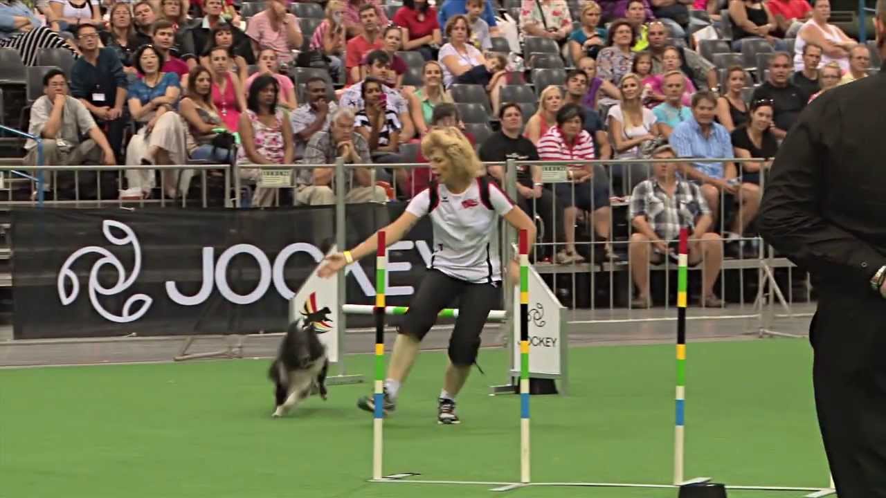 Winning team medium dogs, FCI dog agility world championship, South ...