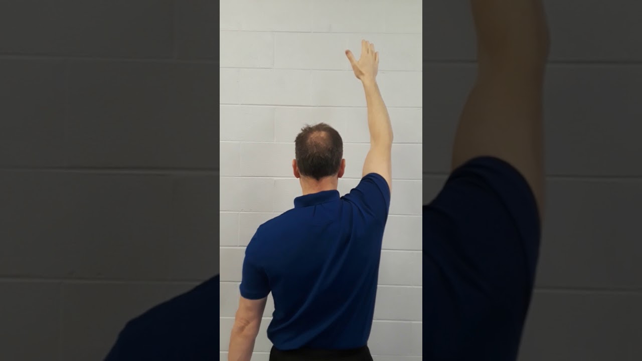 Scapula Up/Downward Rotation VJ Example - YouTube
