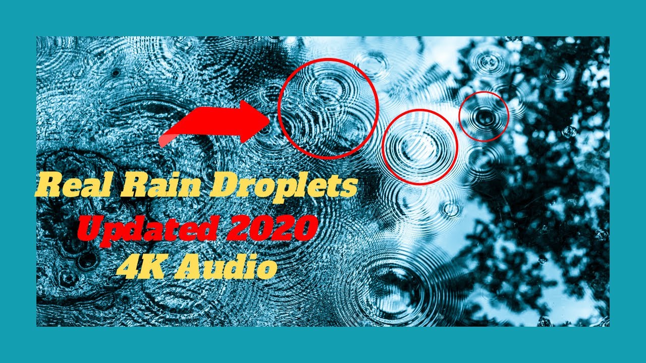 REAL RAIN DROPS (3 HOURS) – Relaxation ON! | Moodganics - YouTube