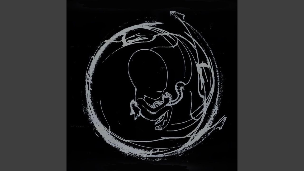 Farewell Transmission (Live) - The Illusory Explainer: Song Lyrics ...