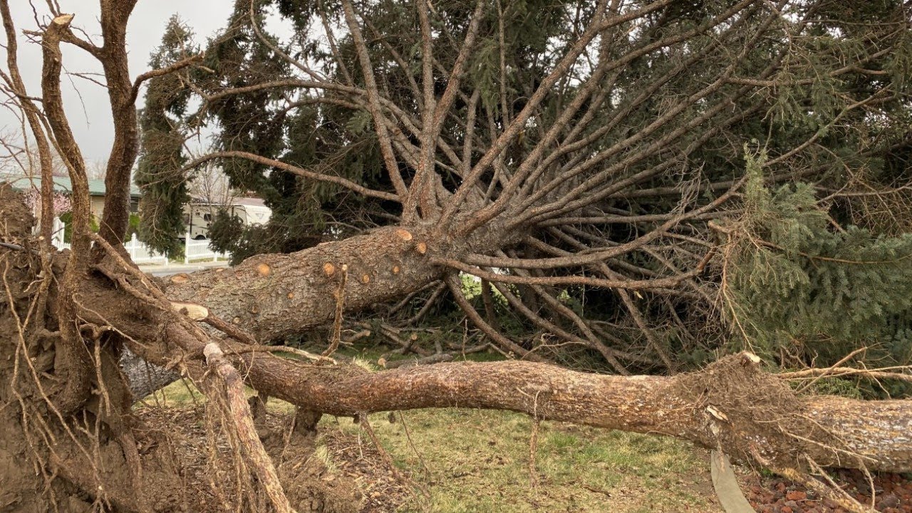 High downslope wind event causes damage, power outages in northern Utah ...