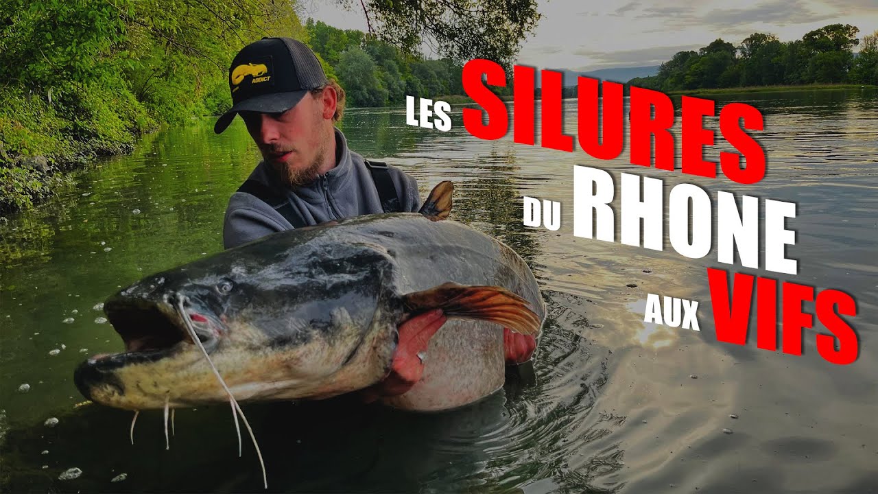 Les SILURE du RHONE aux VIFS / OUVERTURE 2023 - YouTube