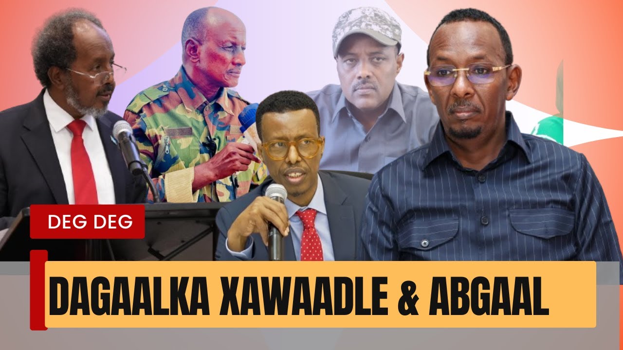 MW XASAN OO SHIRKA XAWAADLE KU BIIRAY,SANBALOOLSHE OO XAWAADLE,DAGAALKA ...