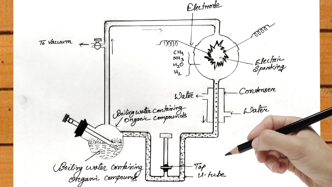How To Draw Miller and Urey Experiment Diagram || Miller and Urey ...
