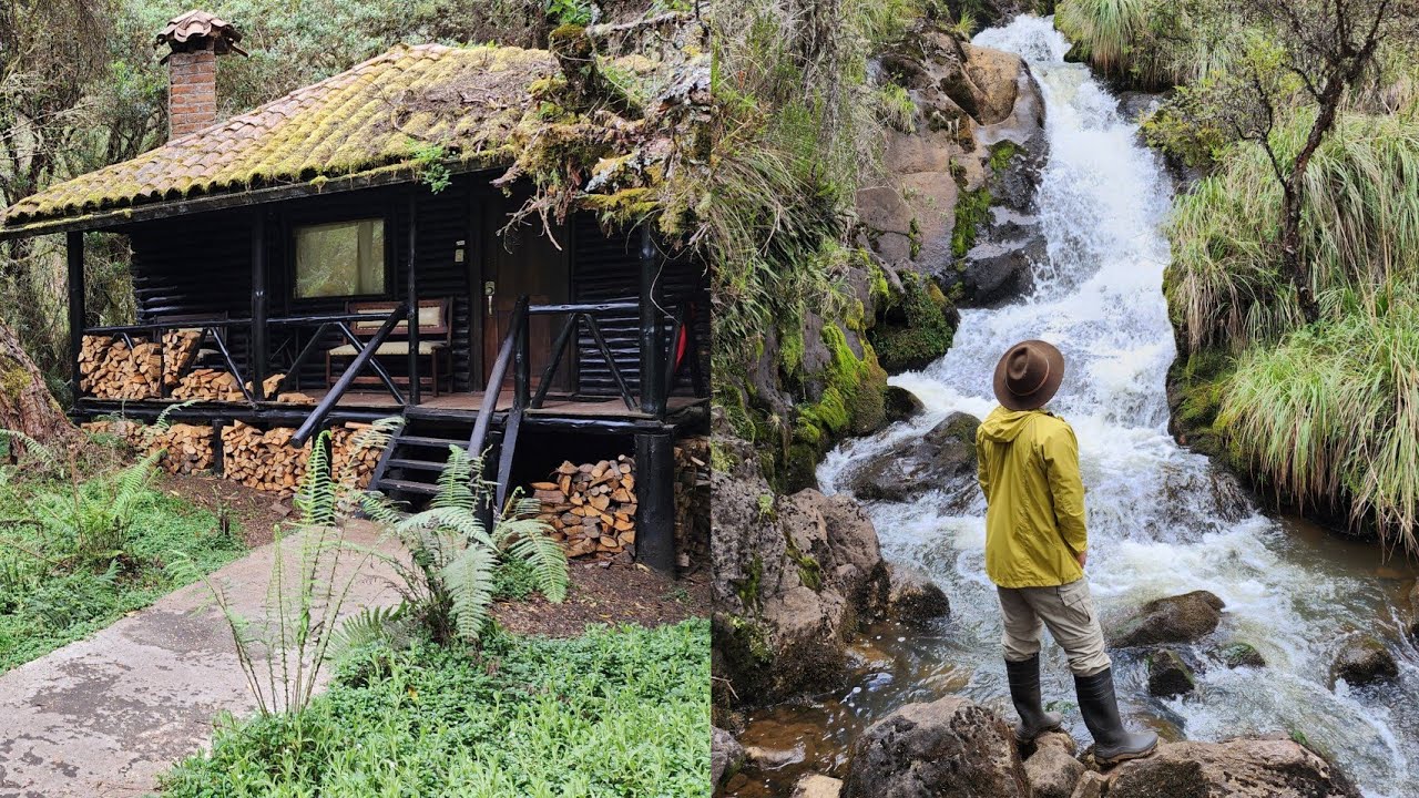 POLYLEPIS LODGE Y LA LEYENDA DE KURUPÍ, es un hotel ubicado en los ...