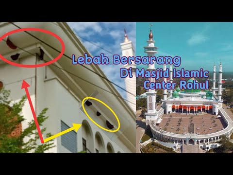 VLOG - Kondisi Masjid Islamic Center Rohul 2020 || Ditengah Pandemi ...